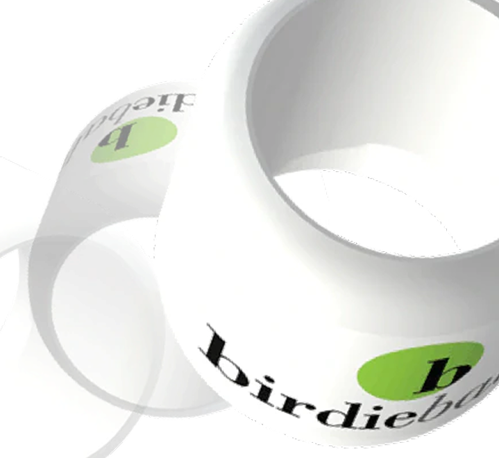 Take the Driving Range Home With BirdieBall