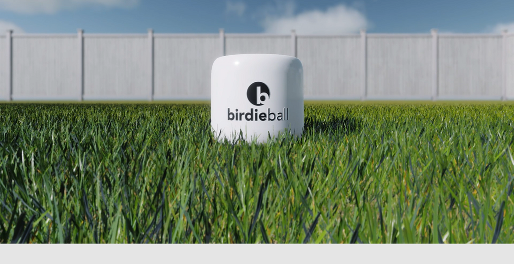 BirdieBall Basket - Practice Golf Without Compromising Feel